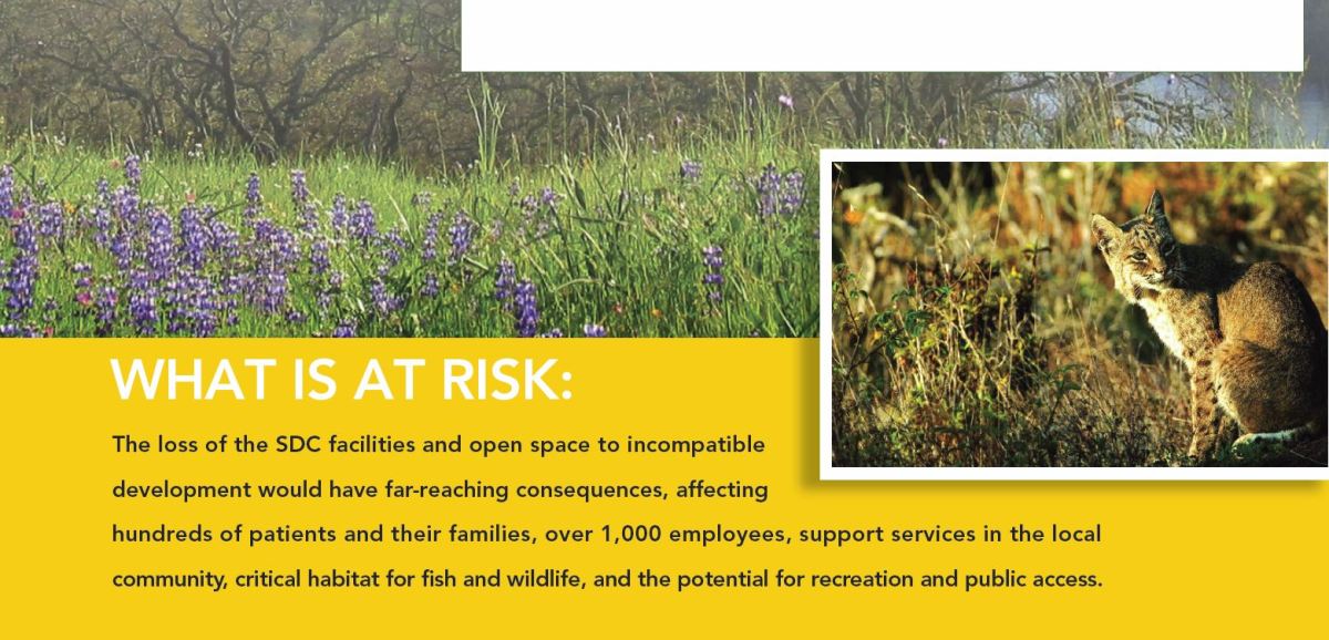 Introducing the ‘Transform SDC’ Project | Transform SDC